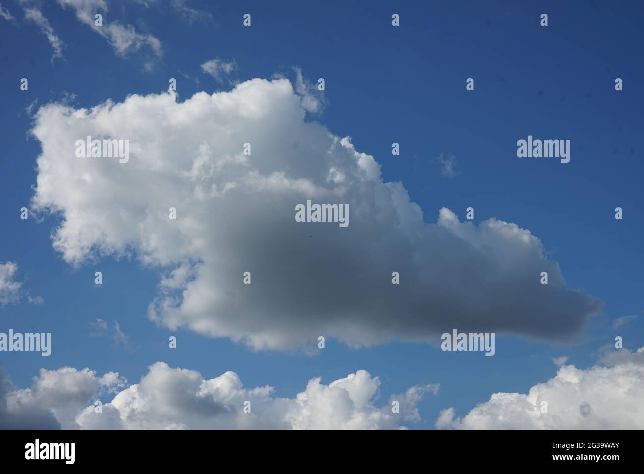Beautiful shot fluffy dense hi-res stock photography and images - Alamy