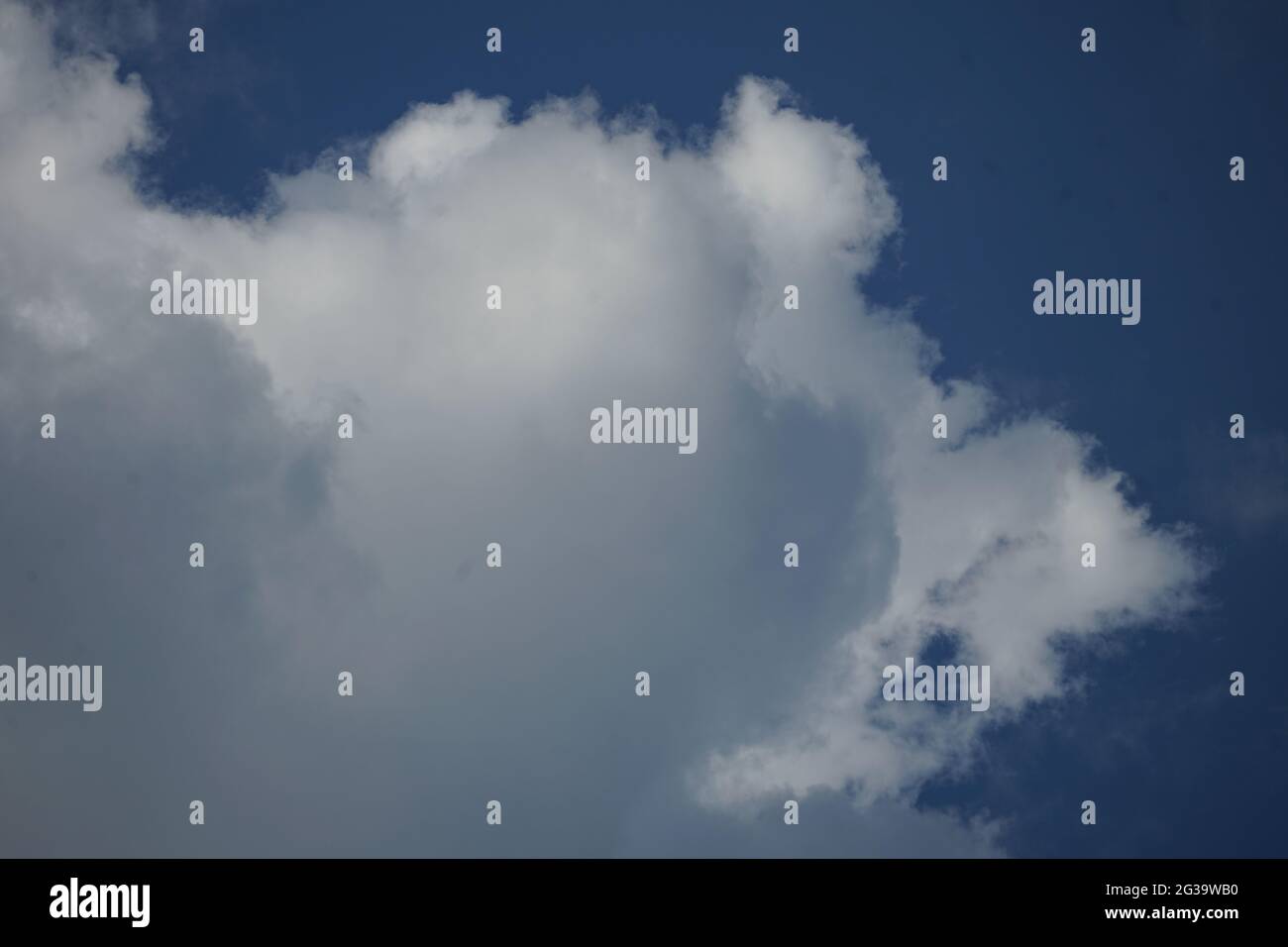 Beautiful shot fluffy dense hi-res stock photography and images - Alamy