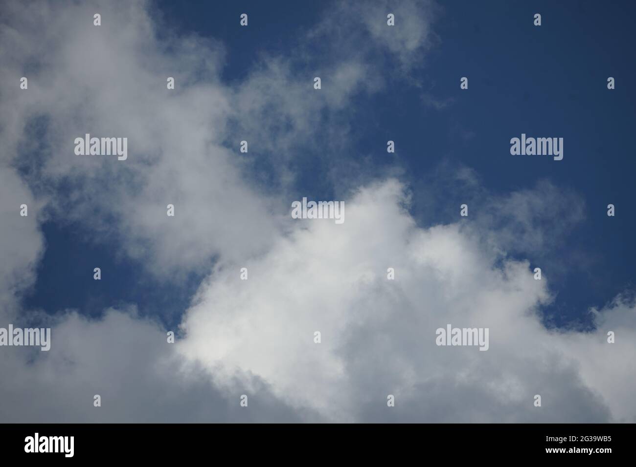 Beautiful shot fluffy dense hi-res stock photography and images - Alamy