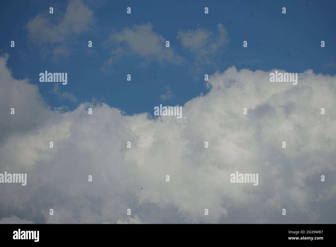 Beautiful shot fluffy dense hi-res stock photography and images - Alamy