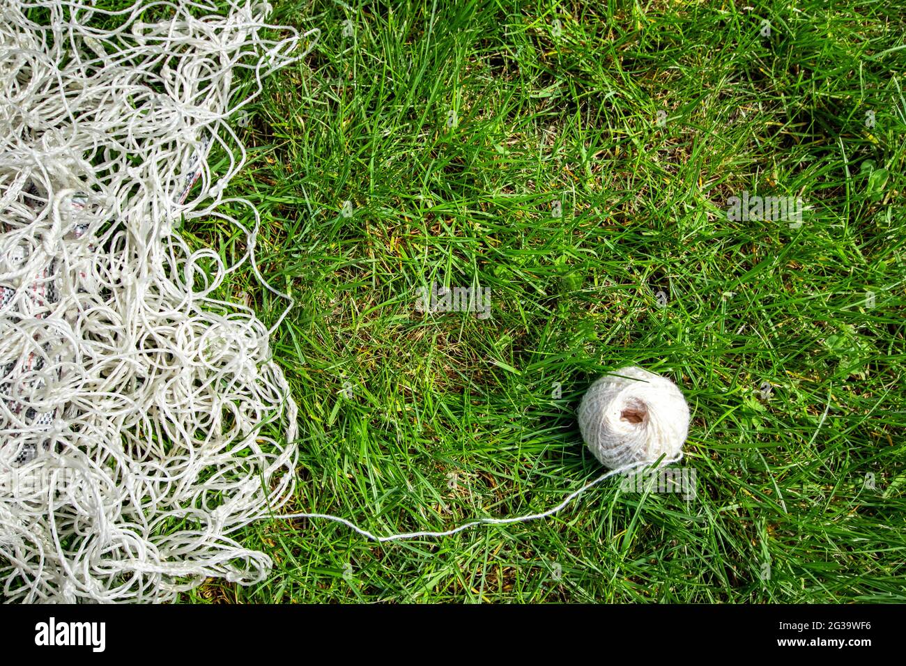 White rope in green grass or lawn Stock Photo - Alamy