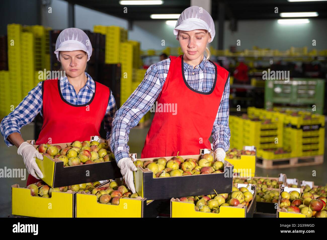 Pear packing hi-res stock photography and images - Alamy