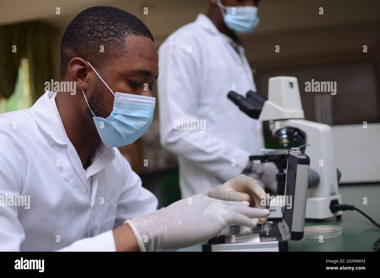 Scientist microbiologists with uniforms working with test tubes and a ...