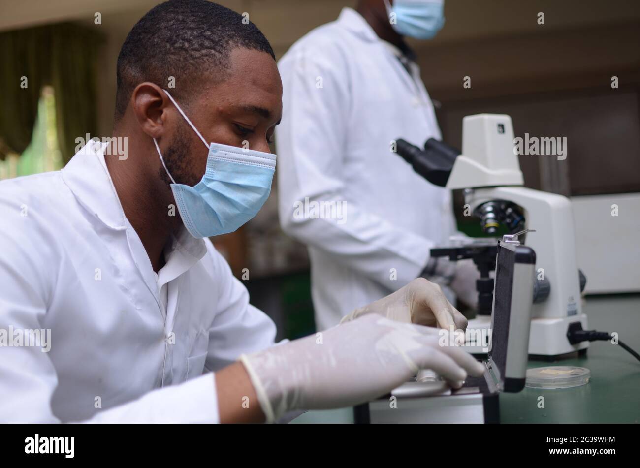 Scientist microbiologists with uniforms working with test tubes and a ...