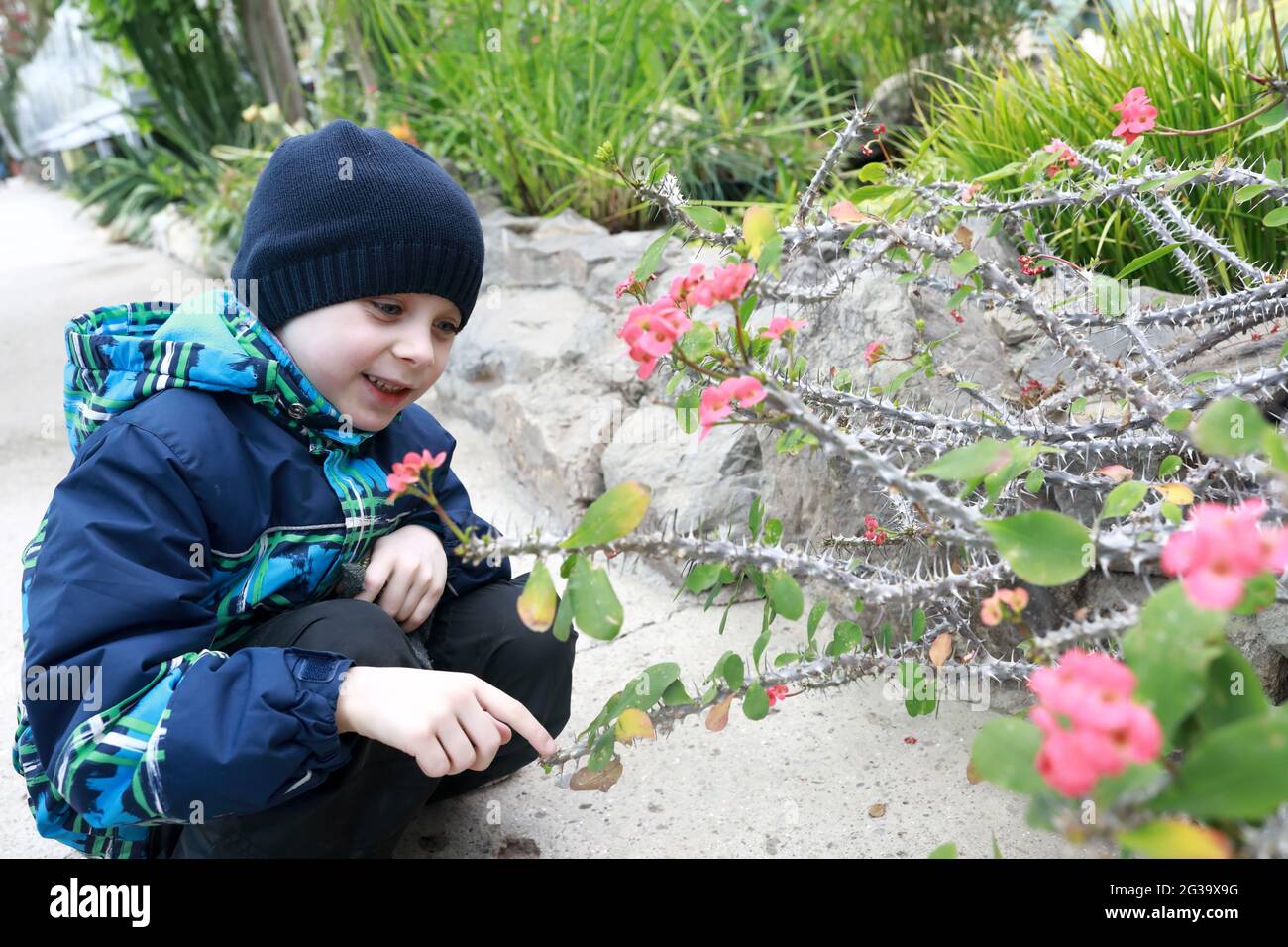 Hand touching cactus hi-res stock photography and images - Alamy