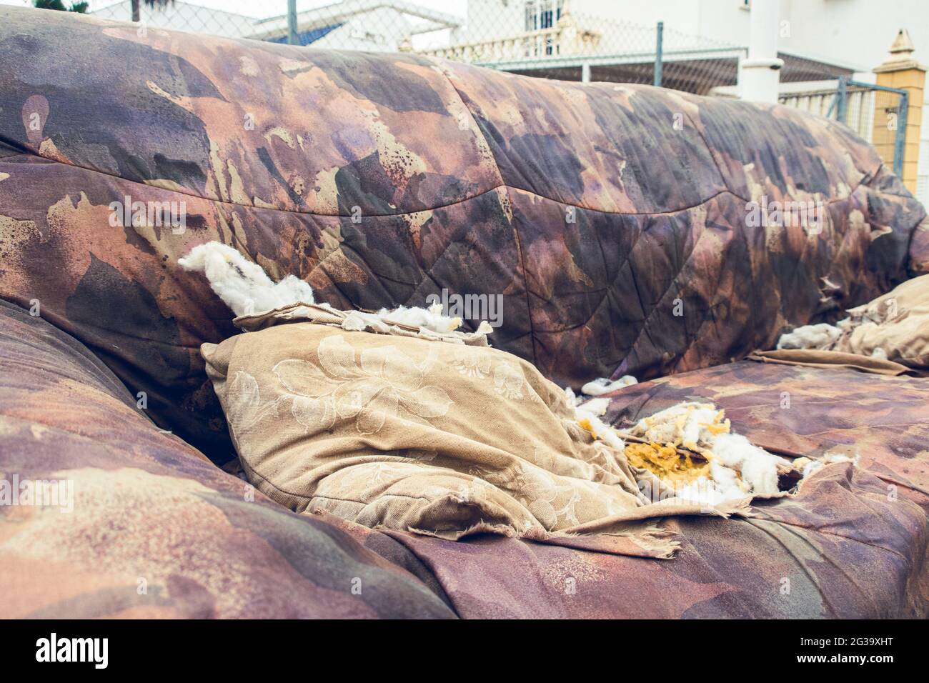 Old damaged sofa with torn upholstery hi-res stock photography and ...