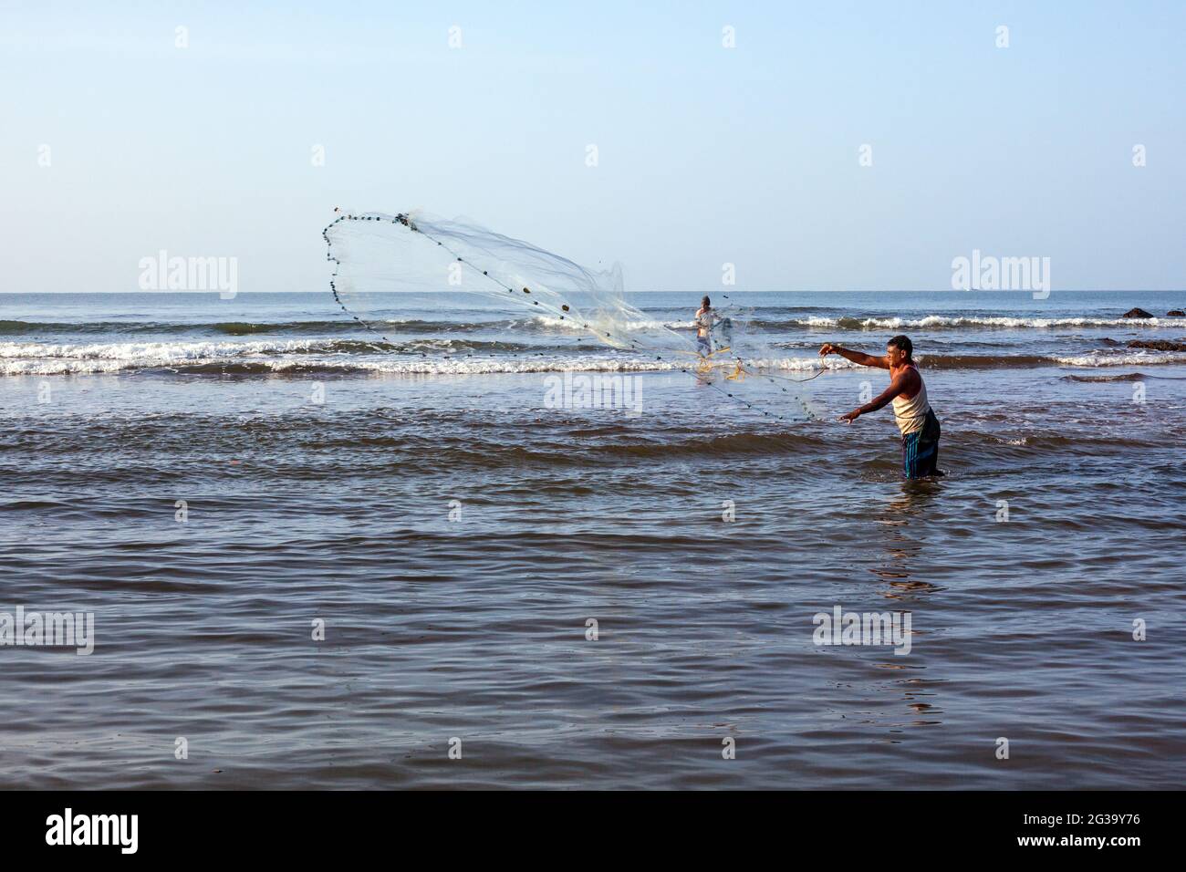 Indian fisherman throws huge fishing net across the water, Agonda, Goa ...
