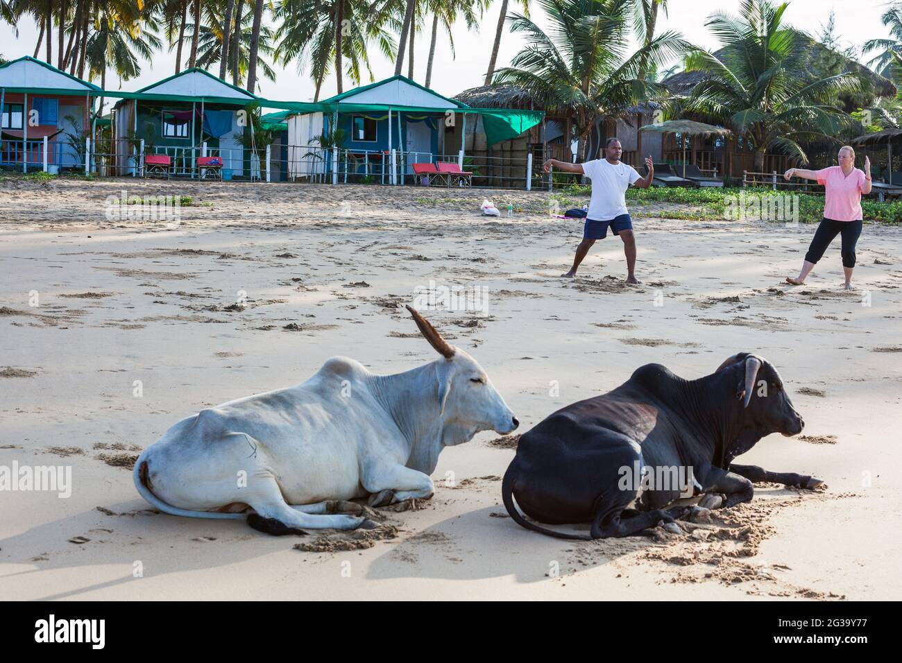 Goa beach couple hi-res stock photography and images - Alamy