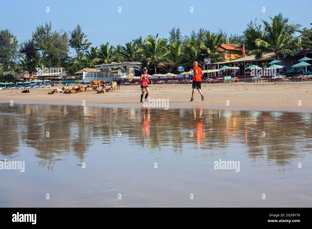 Goa foreigner hi-res stock photography and images - Alamy