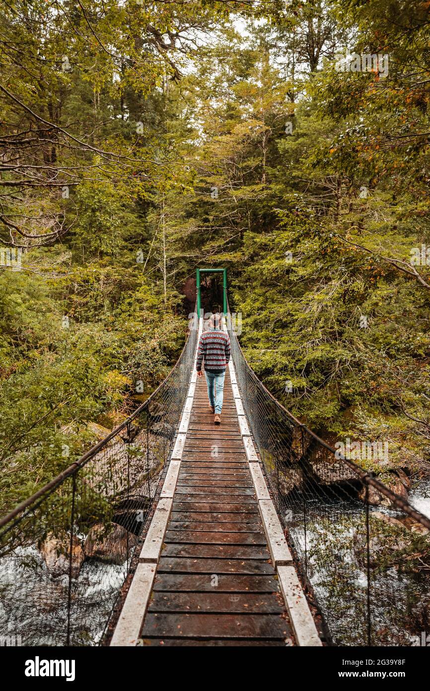Vertical shot of a young man from behind, walking on a wooden bridge ...