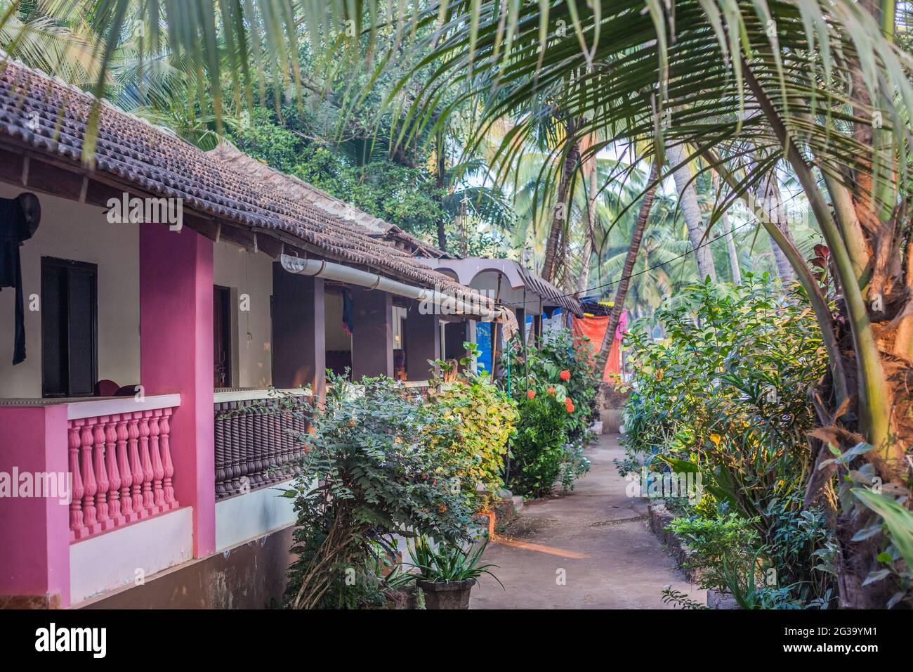 Roadside cottages set in pretty, ornate garden with overhanging palm ...
