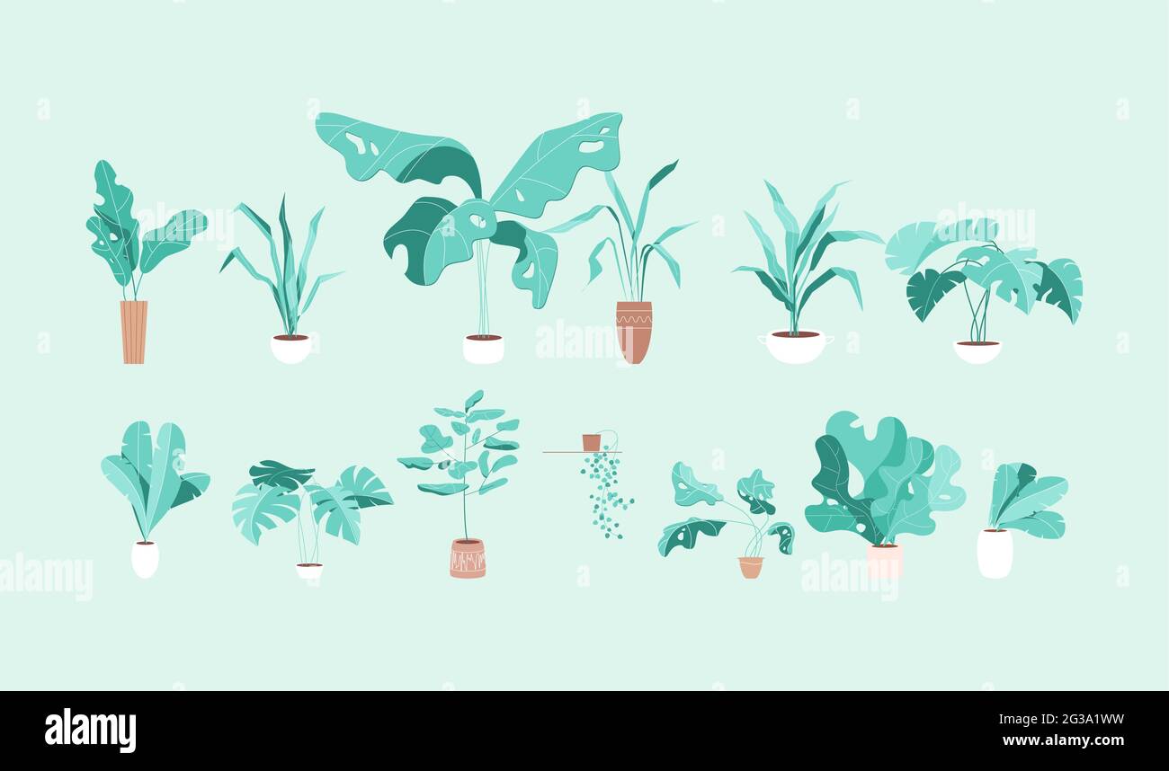 Indoor garden vector vectors Stock Vector Images - Alamy