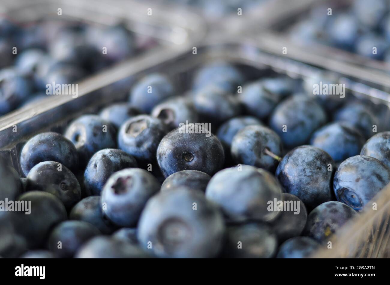 Blueberries in plastic bags in the stall macro view , blue background ...