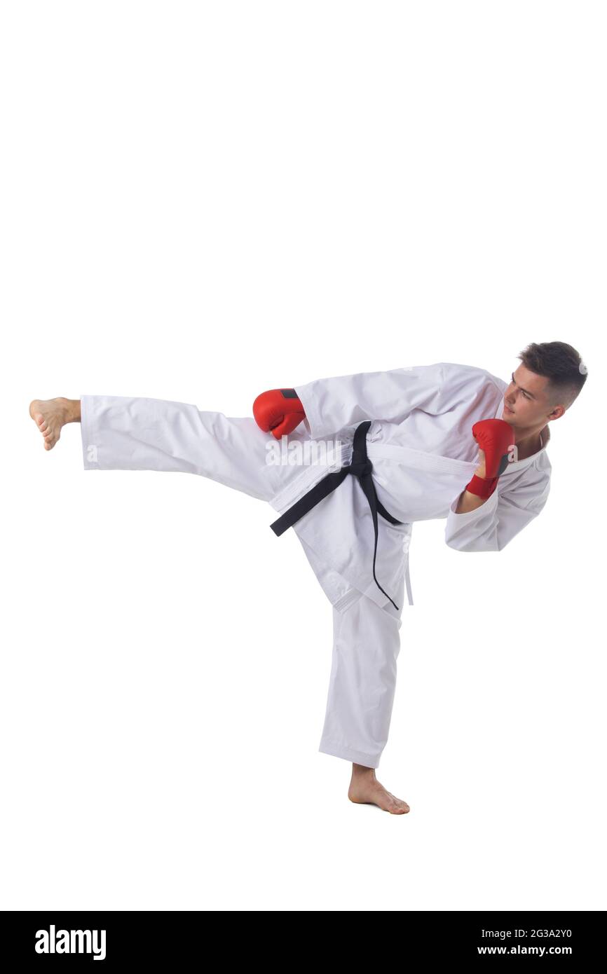Man fighter training taekwondo isolated on white background Stock Photo ...