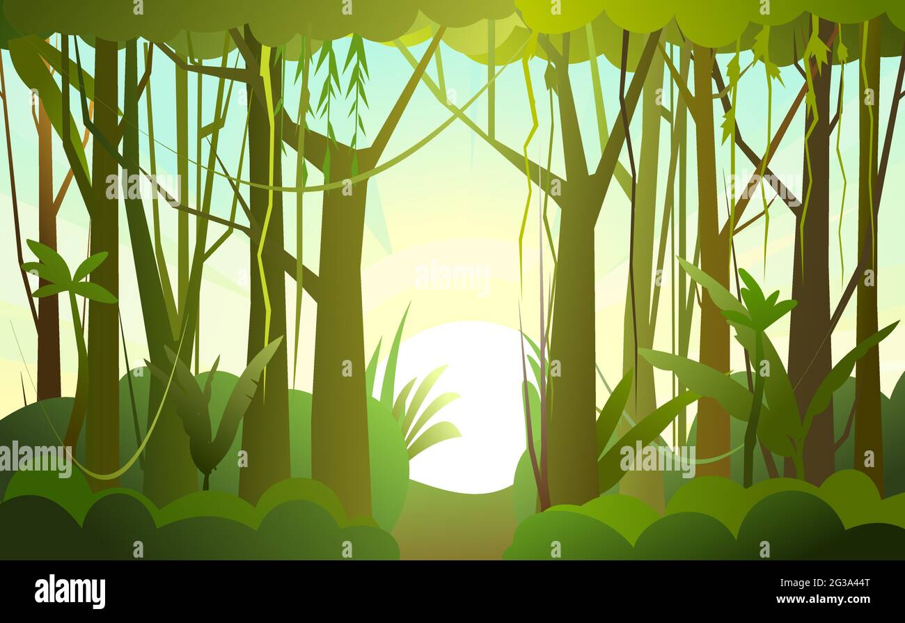 Jungle illustration. Sunrise. Dense wild-growing tropical plants with ...