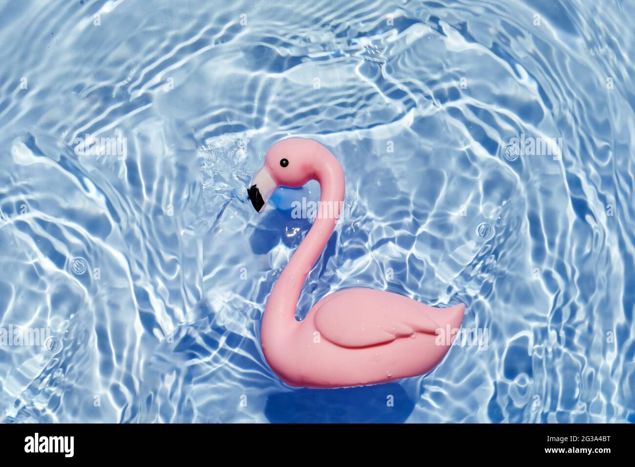 Float icon swimming pool party hi-res stock photography and images - Alamy