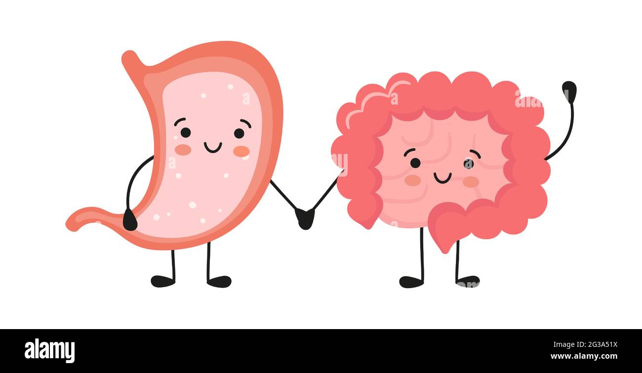 Intestine icon cartoon style Stock Vector Images - Alamy