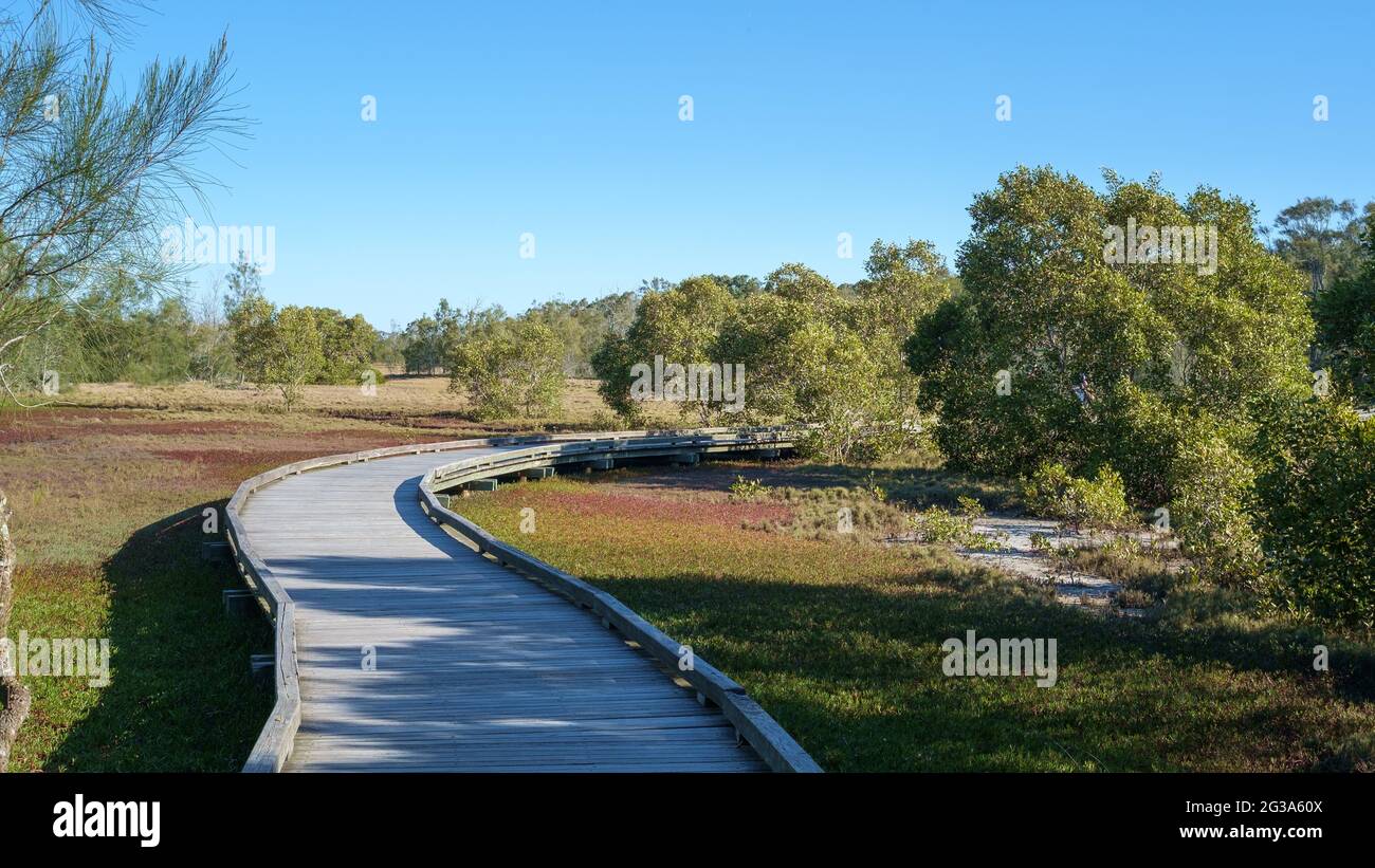 Boondall Wetlands walk Stock Photo - Alamy