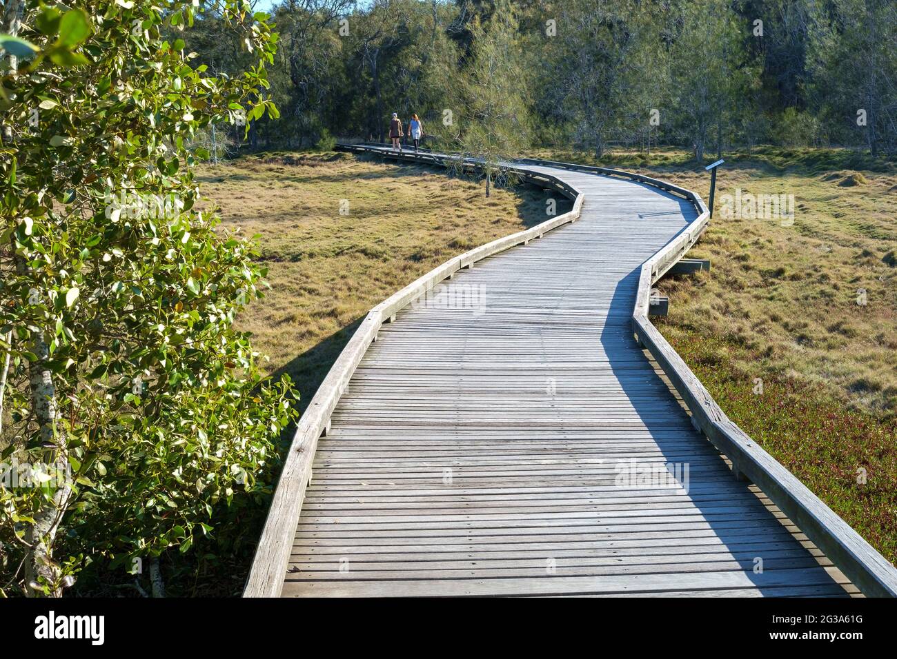 Boondall Wetlands walk Stock Photo - Alamy