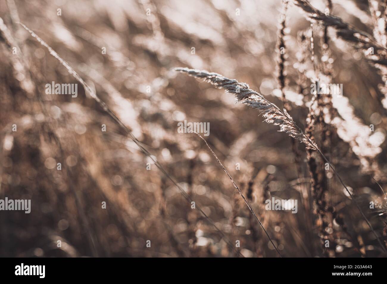 Hello autumn landscape hi-res stock photography and images - Alamy