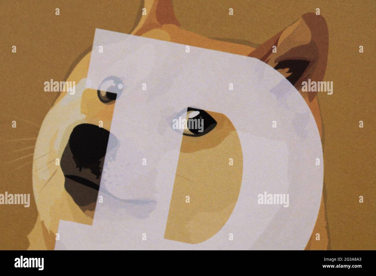 LONDON, UK - June 2021: Doge or dogecoin cryptocurrency logo on paper ...