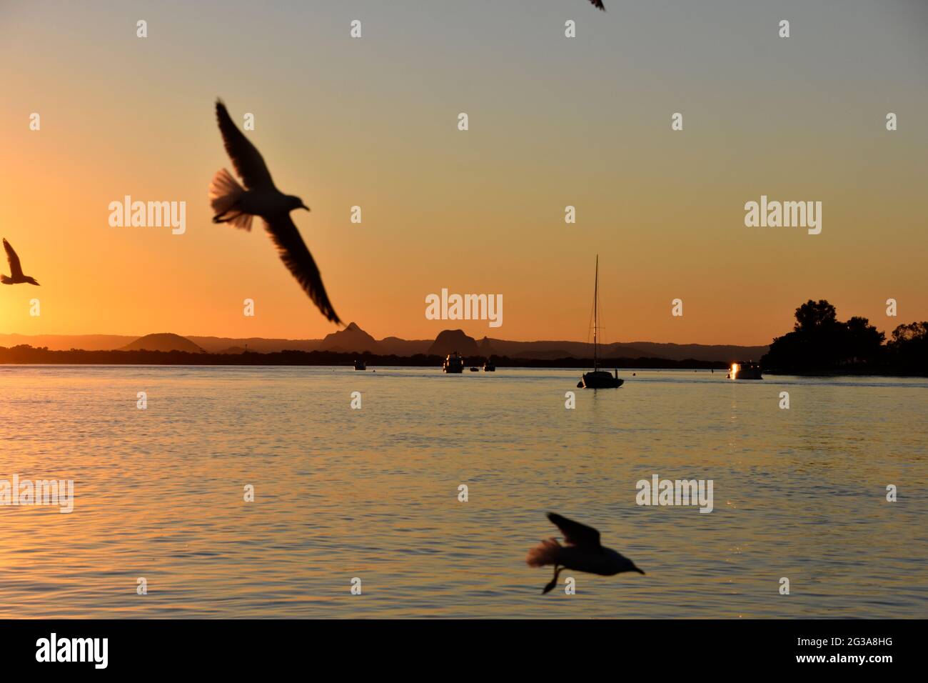 Birds flying at beach hi-res stock photography and images - Alamy