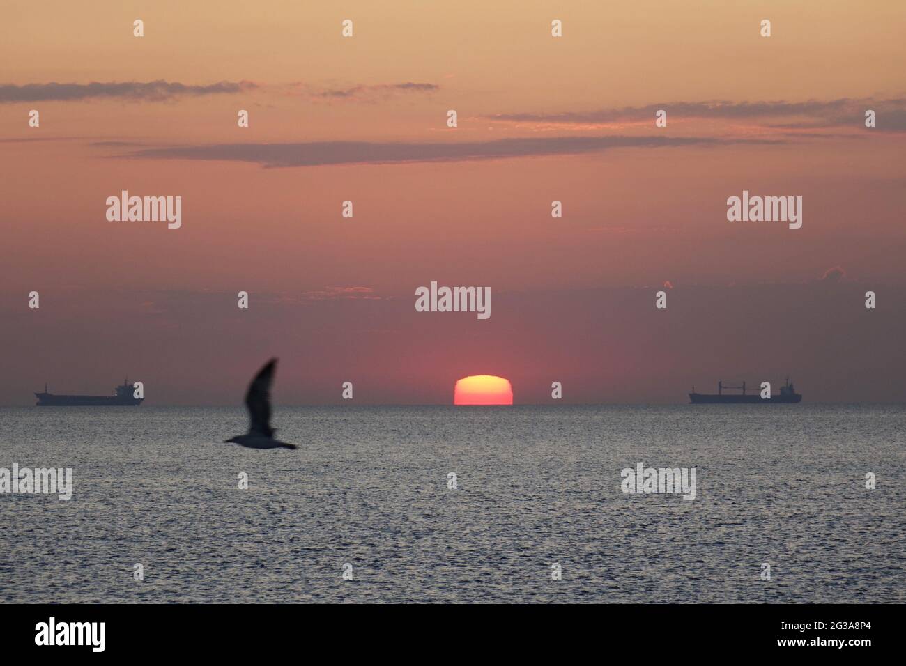 Views of the Odesa port in summer Stock Photo - Alamy