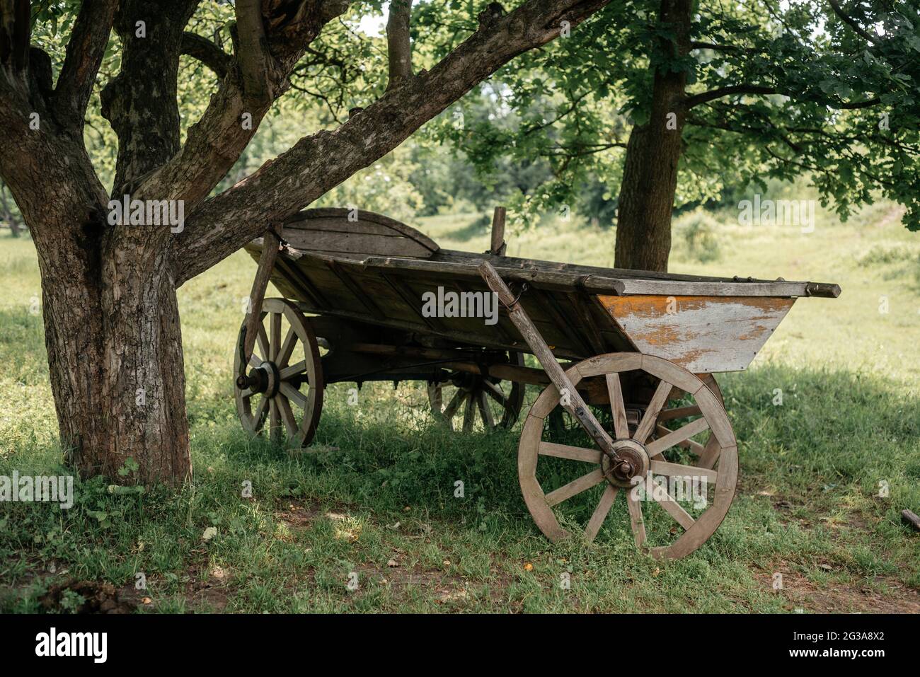 An old farm wagon cart drawn by horses in rural surrounding Stock Photo ...
