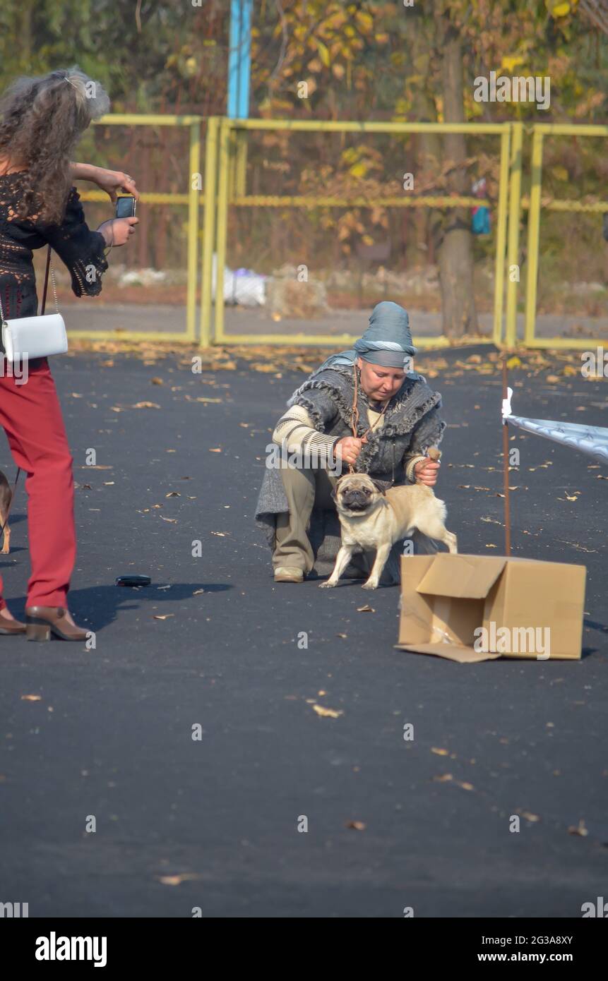 Woman poses dog next hi-res stock photography and images - Alamy