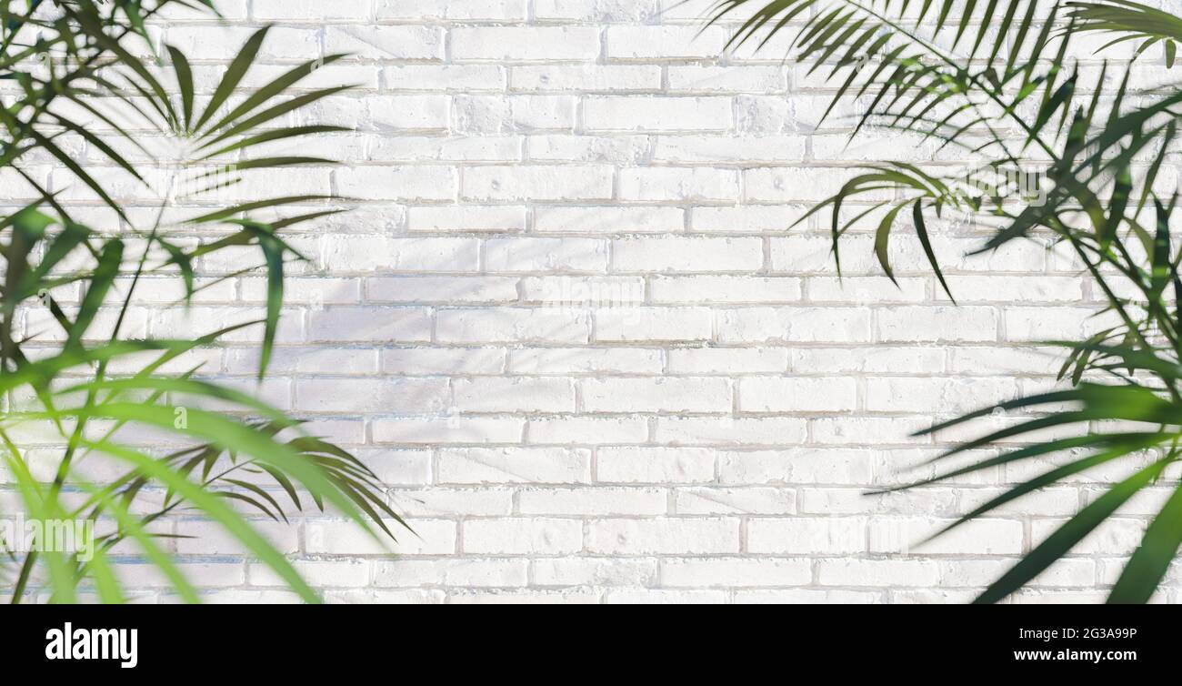 white brick wall background with blurred palm leaves around and soft ...