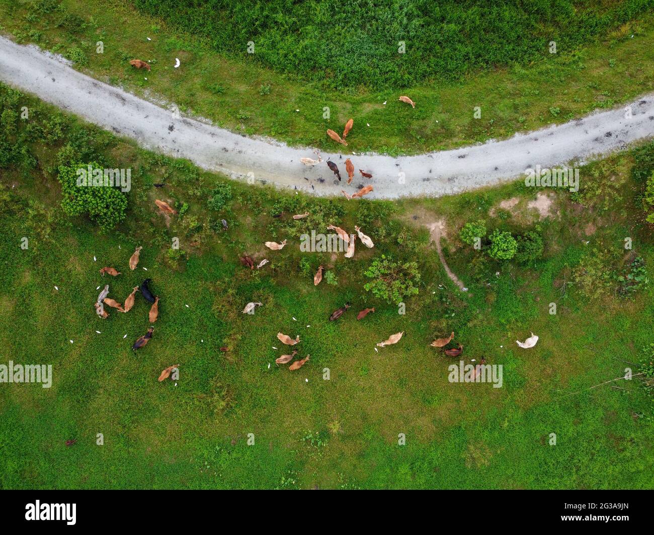 Aerial chicken farm hi-res stock photography and images - Alamy
