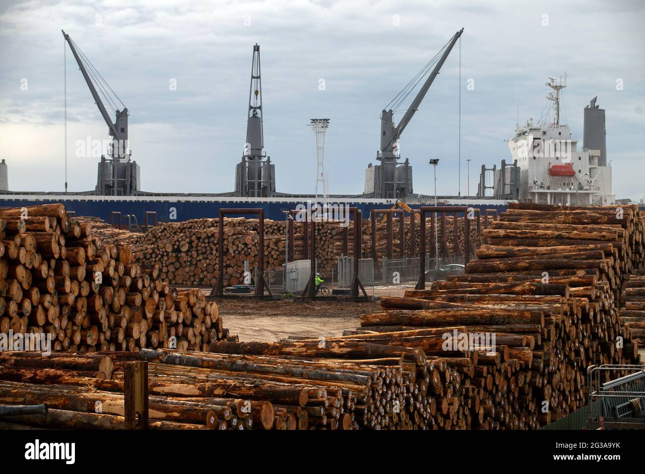 Port Nelson, New Zealand Stock Photo - Alamy