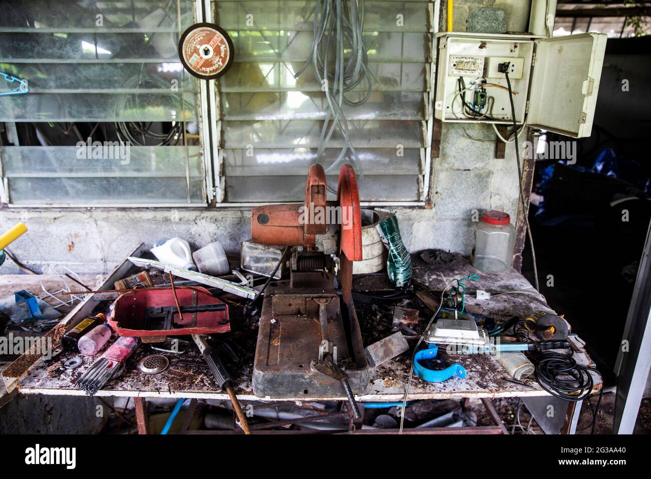 The workbench of a local mushroom farmer is a well-used mess on Bang ...