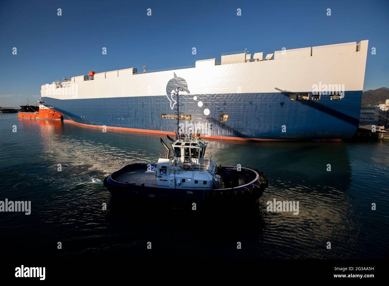 Port Nelson, New Zealand Stock Photo - Alamy