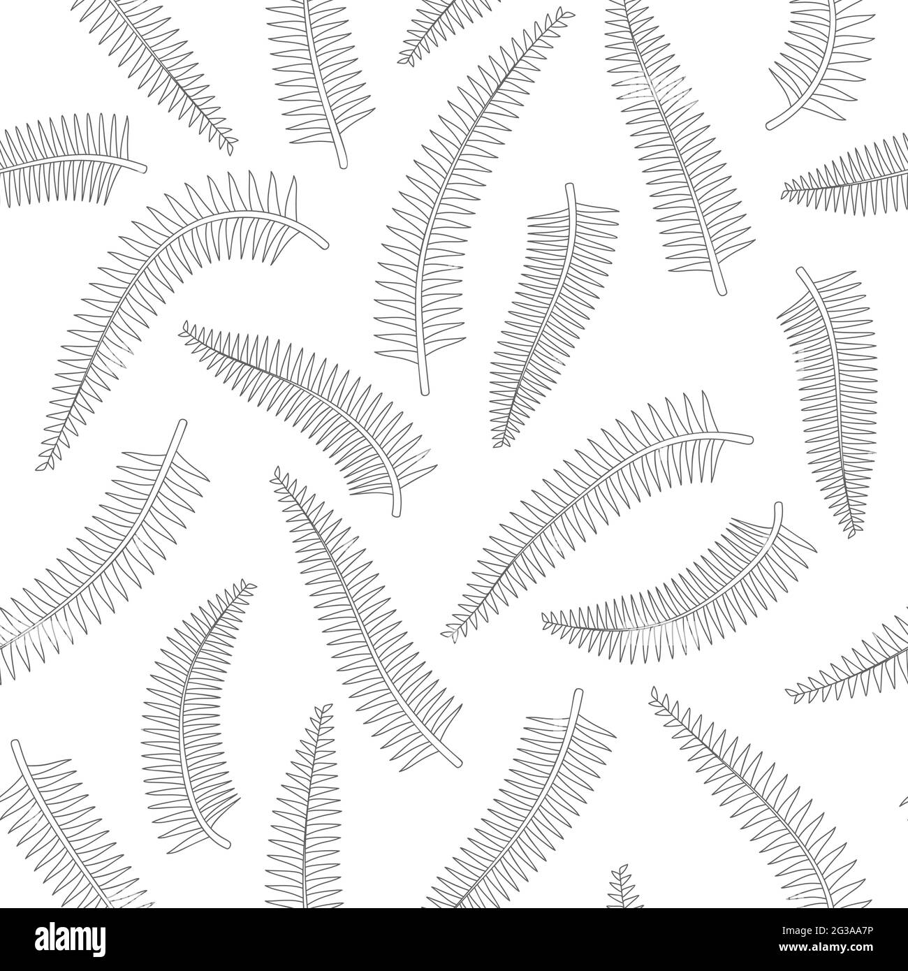 Tropical fern leaves gray outline drawing seamless pattern. White ...
