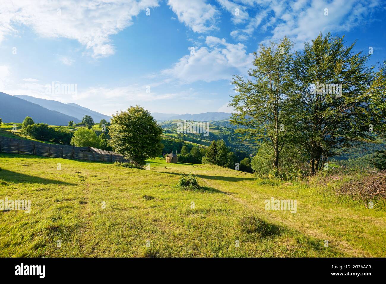 mountainous rural landscape. trees on hills and grassy fields rolling ...