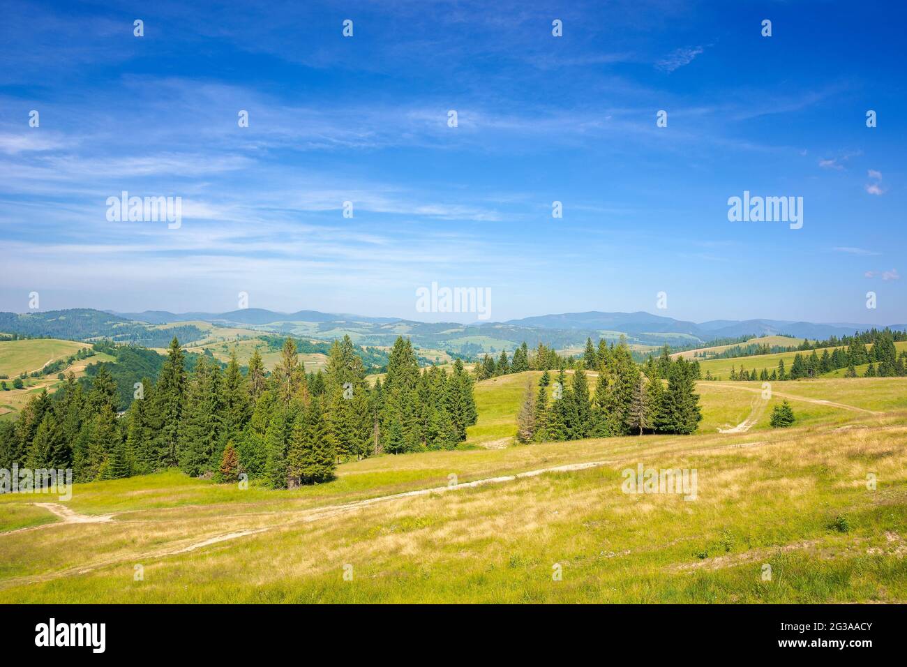 trees on the hill. view in to the distant rural valley. blue sky with ...