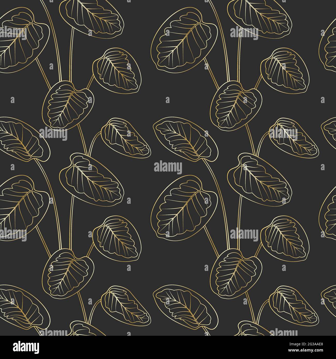 Tropical calathea leaves golden outline drawing seamless pattern. Black ...