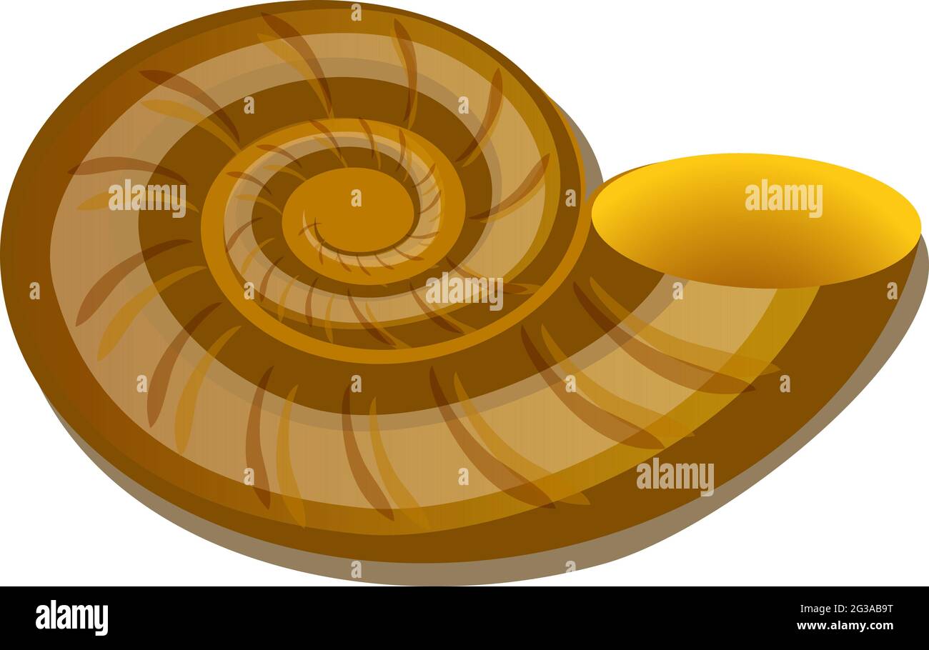 Cochlea vector vectors hi-res stock photography and images - Alamy