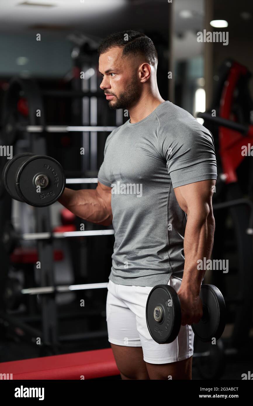 Bodybuilder doing biceps curls workout with dumbbells in the gym Stock ...