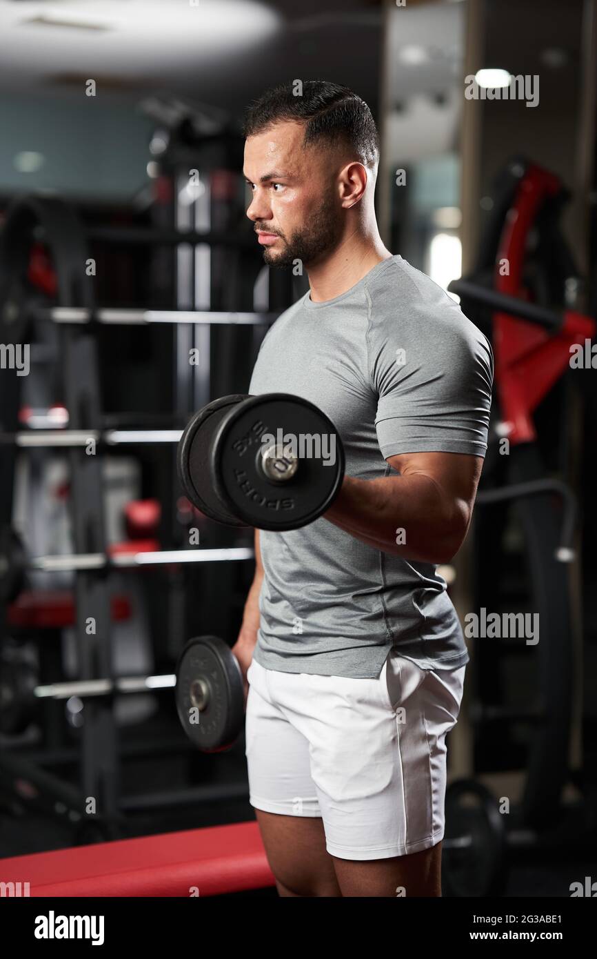 Bodybuilder doing biceps curls workout with dumbbells in the gym Stock ...
