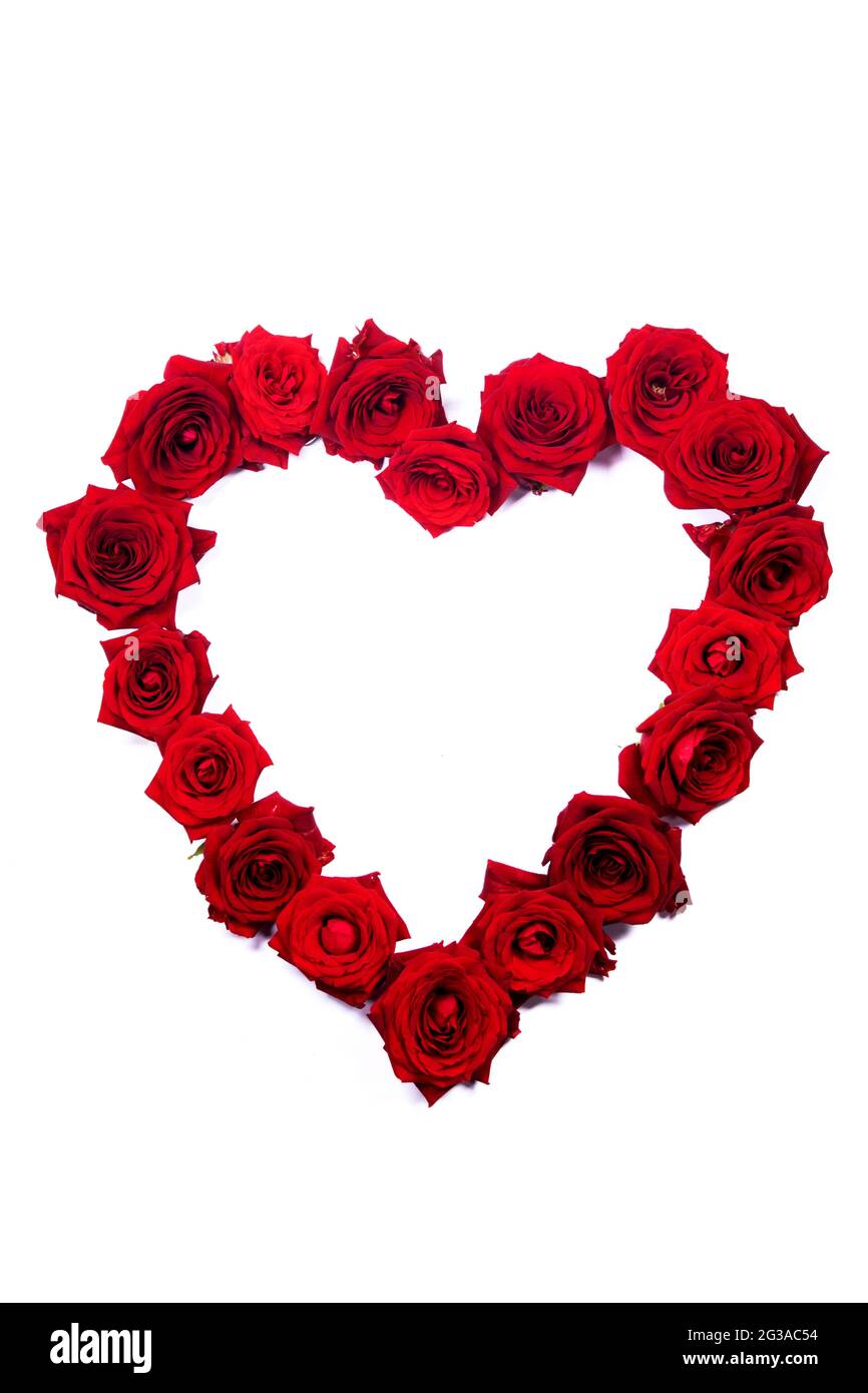 Red roses border frame in heart shape isolated on white background ...