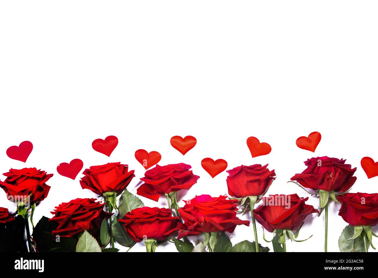 Red roses and hearts border frame isolated on white background ...