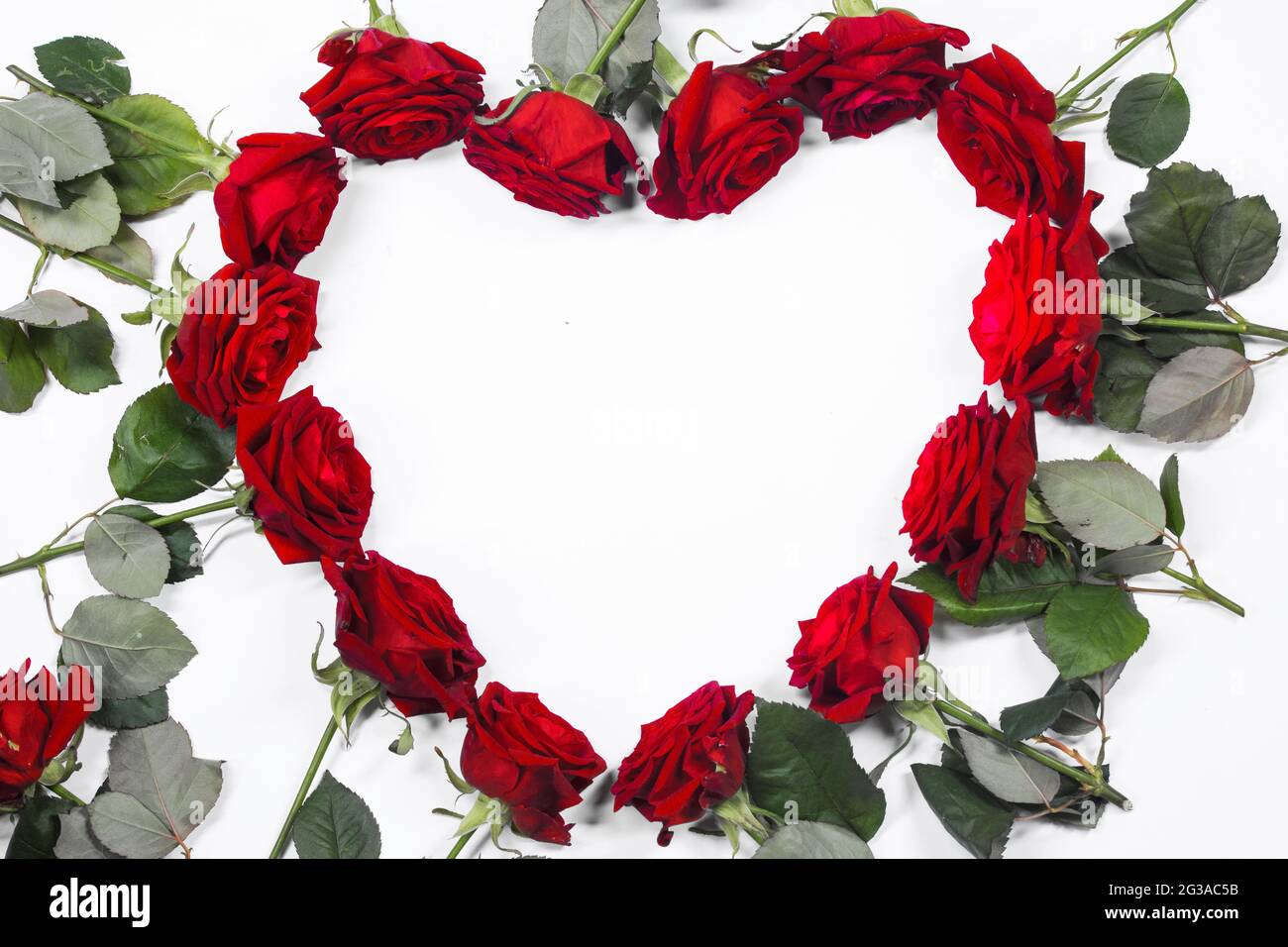 Heart Rose Frame