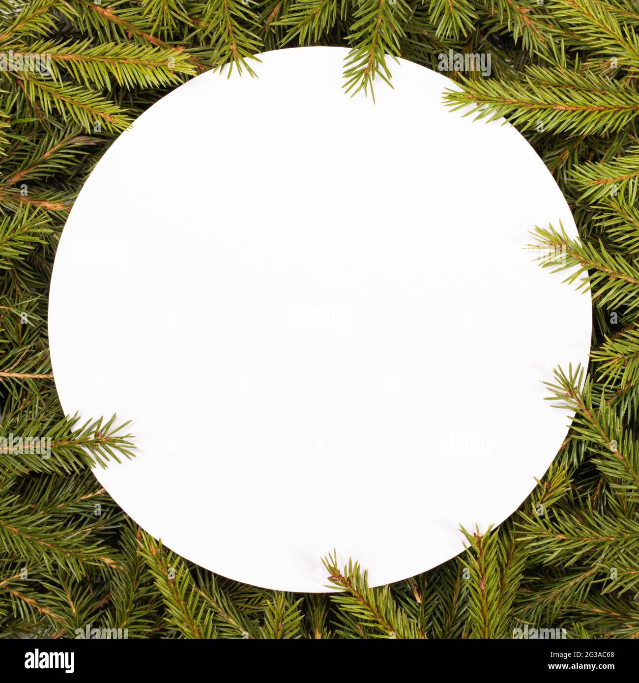 Natural fir Christmas tree round border frame isolated on white , copy ...