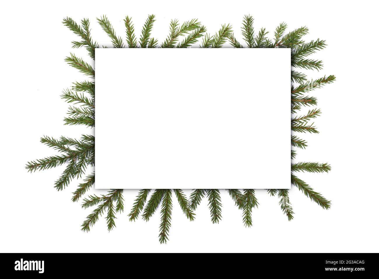 Natural fir Christmas tree border frame isolated on white , copy space ...