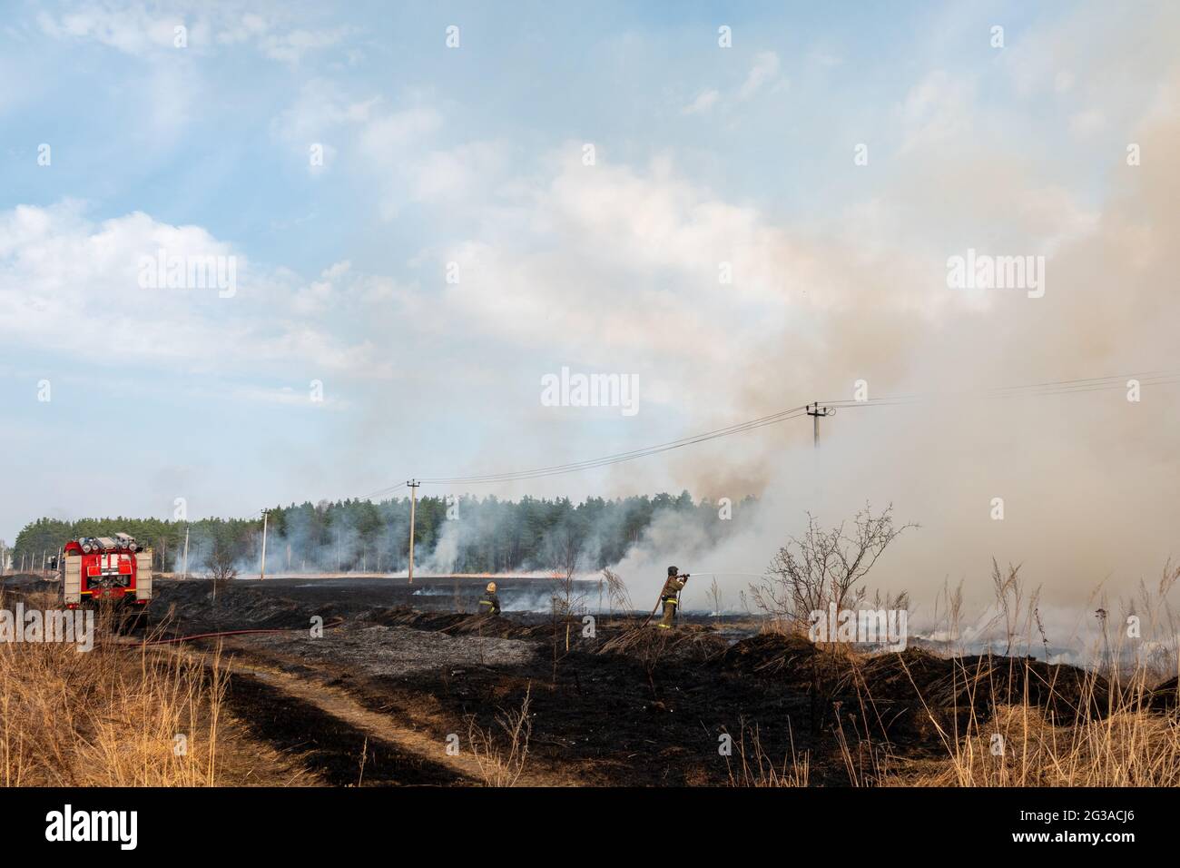 Forest fire burning, Wildfire close up Stock Photo - Alamy