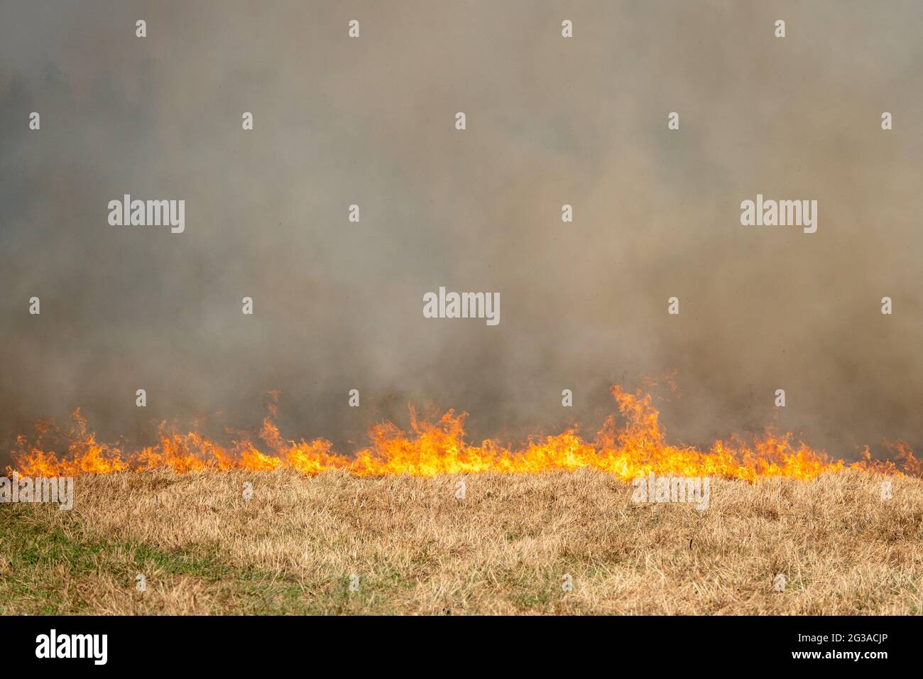 Wildfire fire fighter hi-res stock photography and images - Alamy
