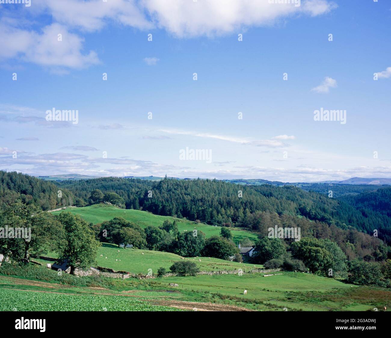 Summer morning the Conwy Valley viewed from hills above the village of ...