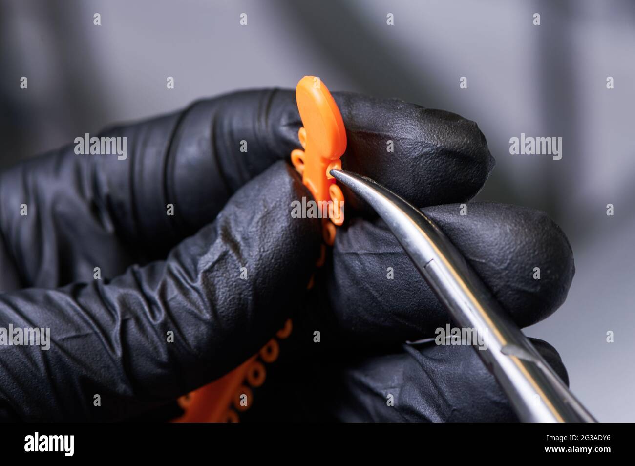Macro snapshot of a hand in black glove holding orange set of rubber ...